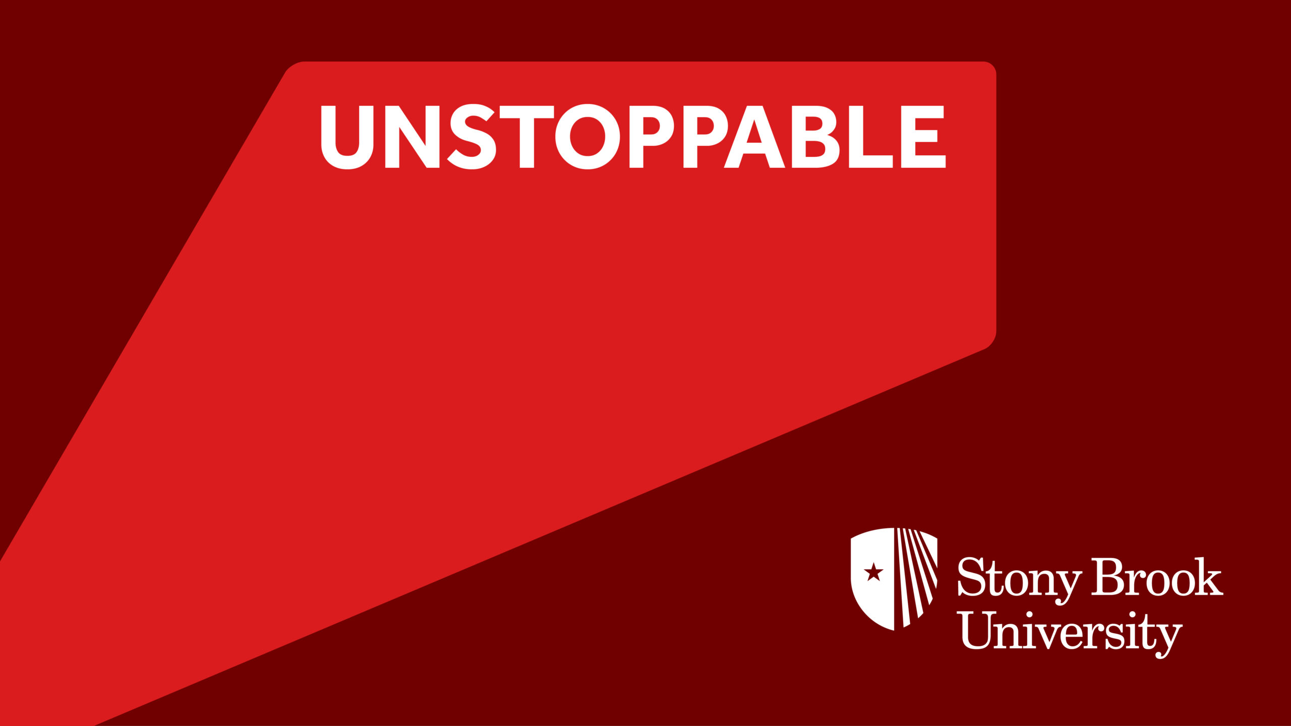 Schools & Programs - Stony Brook University